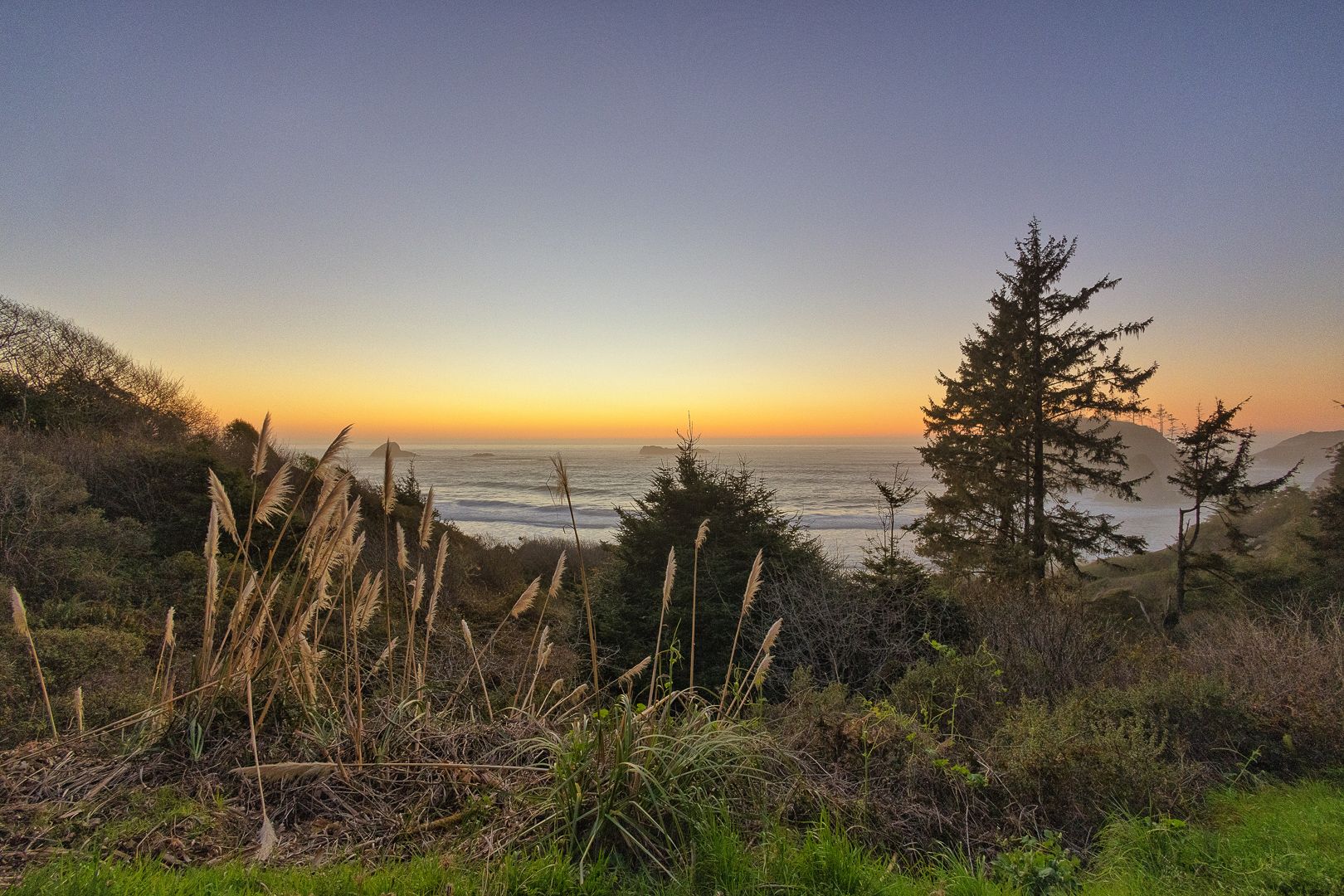 Discover The Magic Of Trinidad, CA