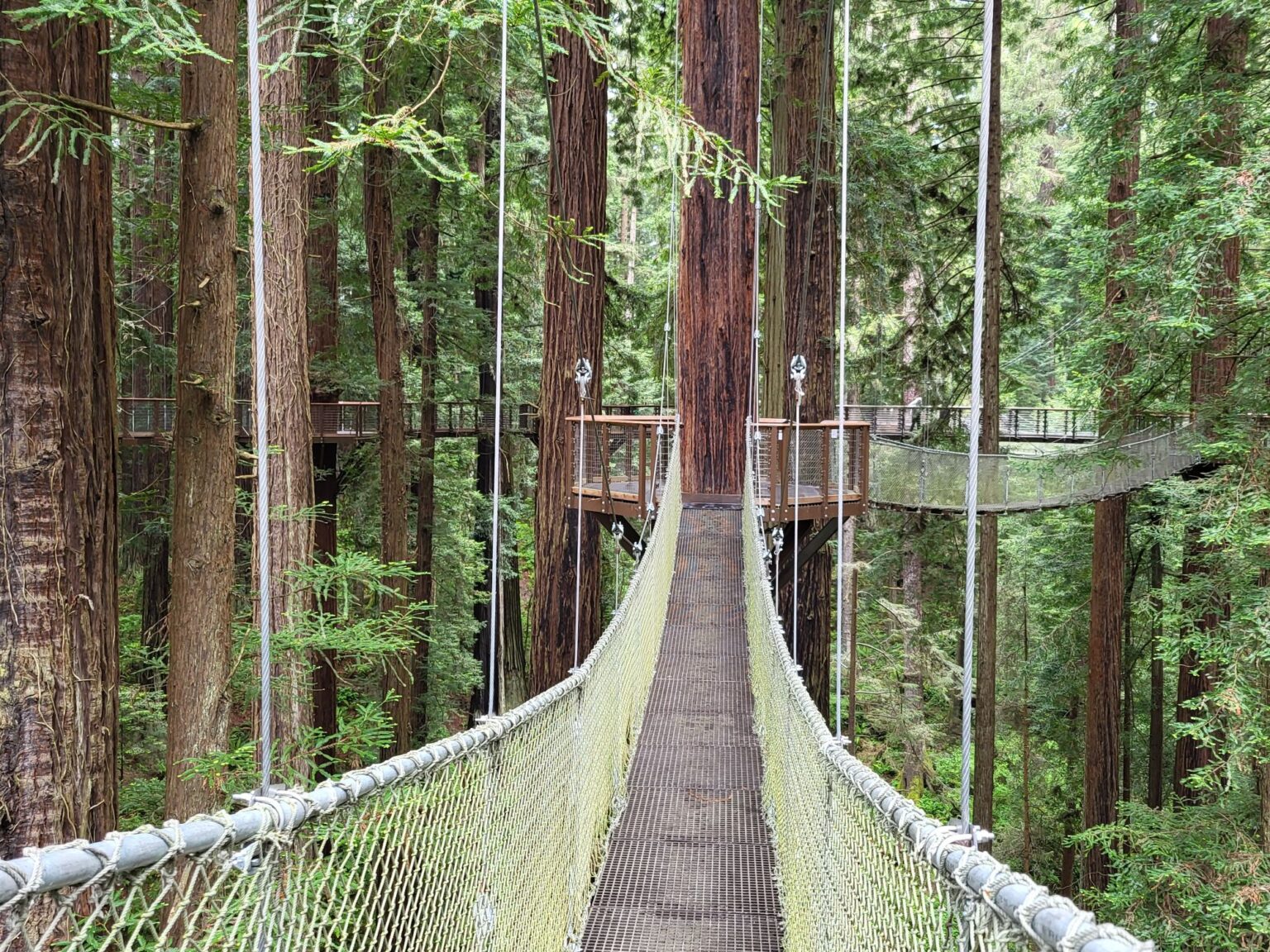 Welcome to Eureka! Gateway to the Redwoods - Stay Redwoods